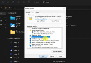 Cara Menampilkan Ekstensi File di Windows 11 | WinPoin