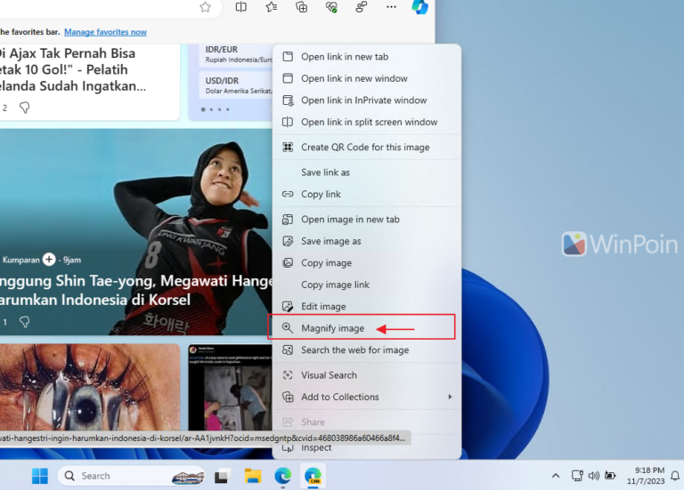Microsoft Mulai Uji Coba Fitur Magnify Image di Microsoft Edge Canary ...