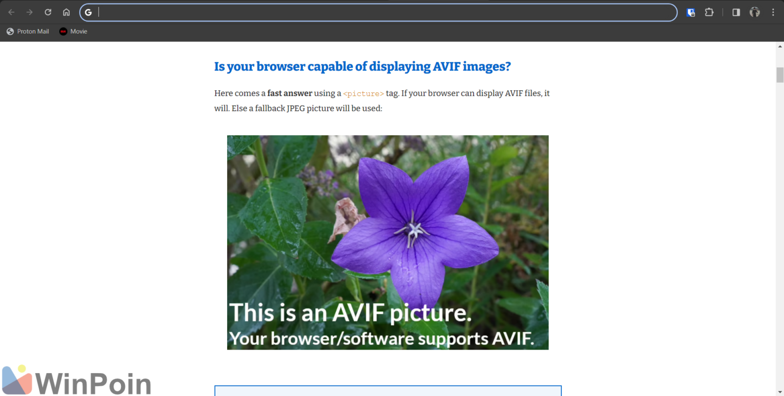 Dukungan AVIF Akhirnya Dirilis di Microsoft Edge 121 Beta | WinPoin