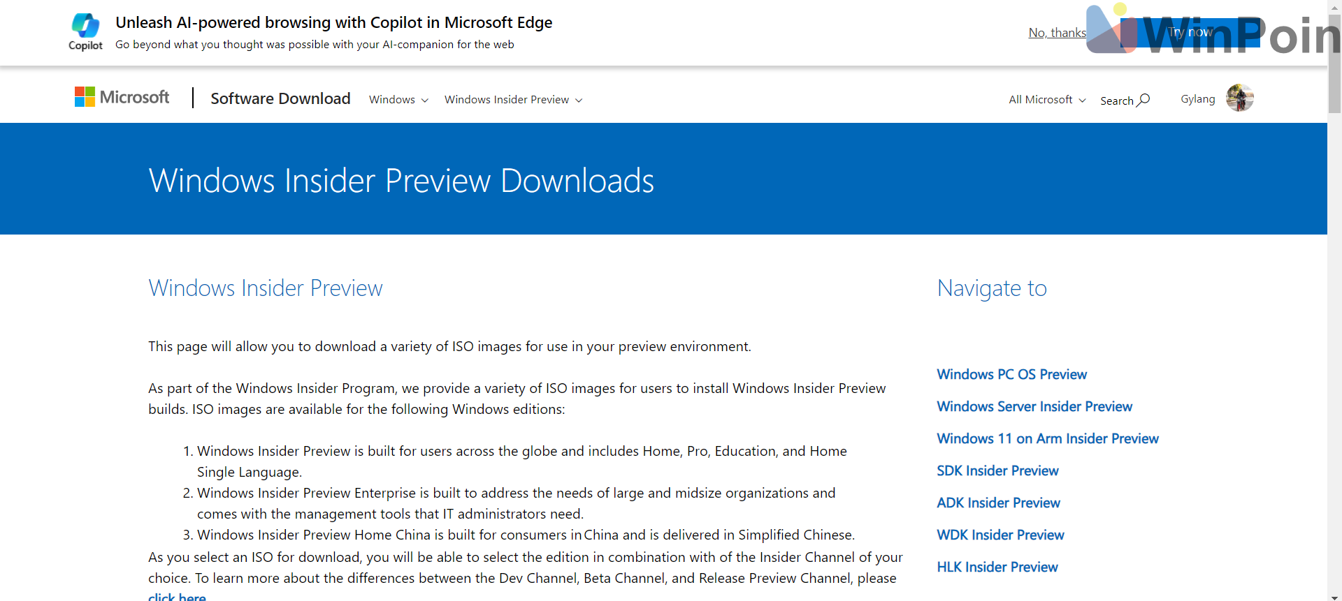 Download Official File ISO – Windows 11 Insider Build 23615 | WinPoin