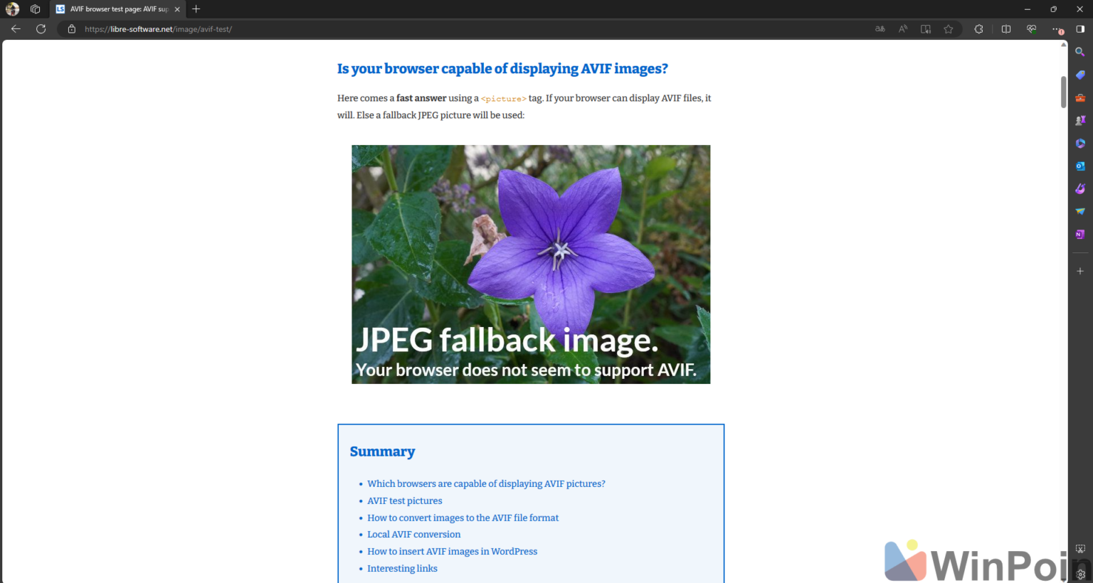 Microsoft Edge 121 Dirilis, Hadirkan Dukungan AVIF dan AV1 | WinPoin