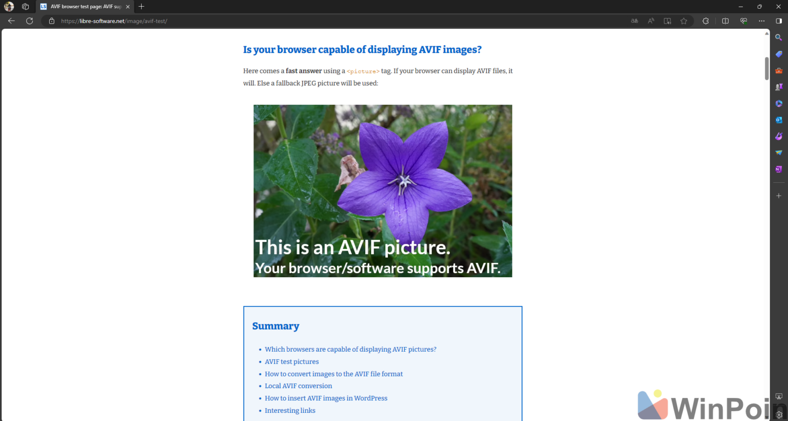 Microsoft Edge 121 Dirilis, Hadirkan Dukungan AVIF dan AV1 | WinPoin