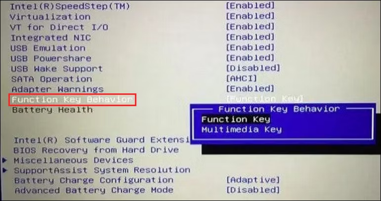Cara Mengunci Fn (Function) Key di Windows 11 | WinPoin