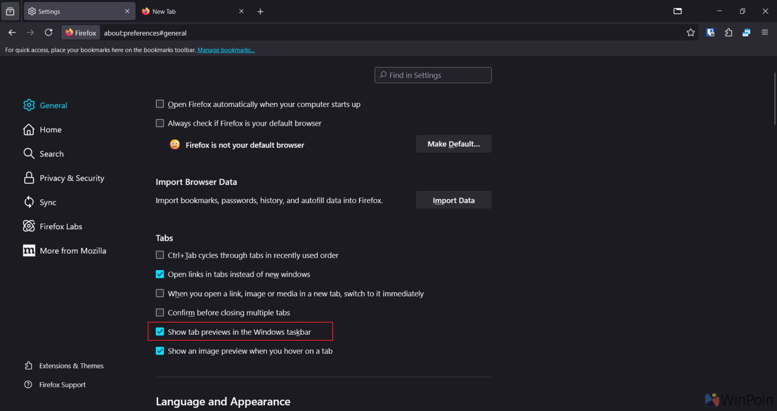Cara Aktifkan Tab Preview Firefox di Taskbar Windows 11 | WinPoin